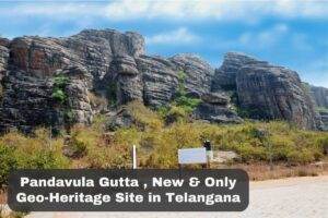 Ancient Gupteswar Forest in Odisha Becomes State’s Newest Biodiversity ...