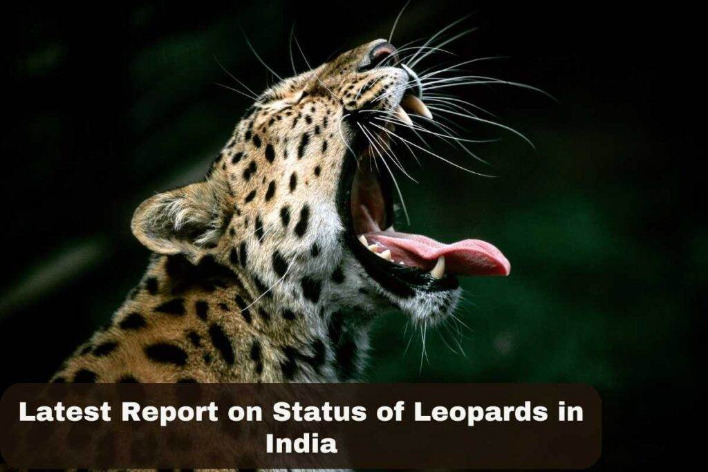 Current Status of Leopards in India [2024] - UPSC Colorfull notes
