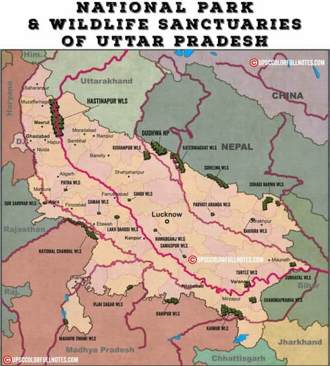 Discover the Ecological Riches of Pilibhit Tiger Reserve, Uttar Pradesh ...